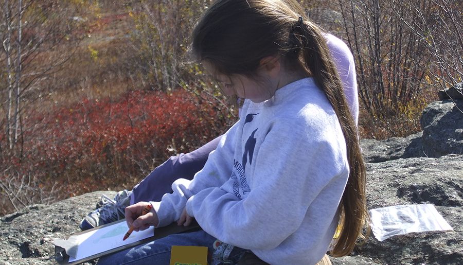 DHHS – ServiceLink – Welcome Families New Hampshire: State of Discovery